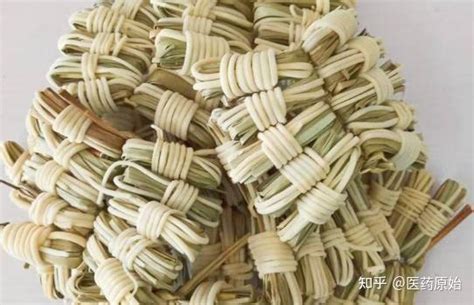 带你识别灯心草 知乎