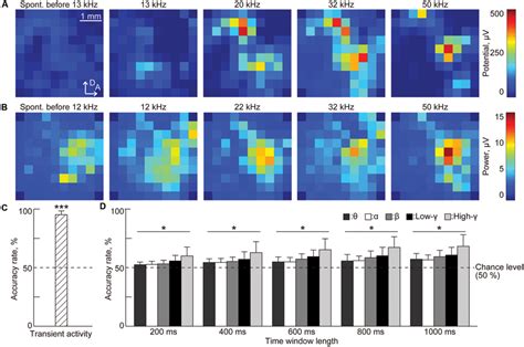 Sparse Logistic Regression Decoding From Transient Activities And The Download Scientific