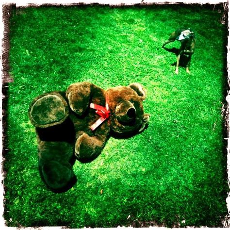 【蓝桥杯考前七天】【十三届pythonb组真题详解】 知乎