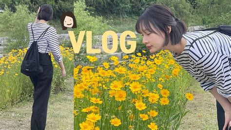 Vlog 일상 브이로그1년반만에 단발 가을일상모음집자담치킨 맵슐랭🍗오리고기 맛집주말은 산책하고 청소하고죽음의조 집들이감자탕과 김밥막걸리 삼종세트 육전시댁