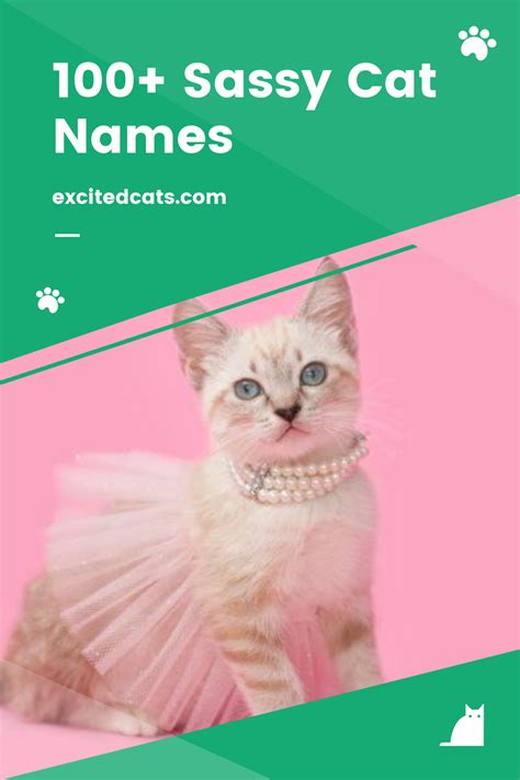 100 Sassy Cat Names Cat Names Sassy Cat Cat Advice