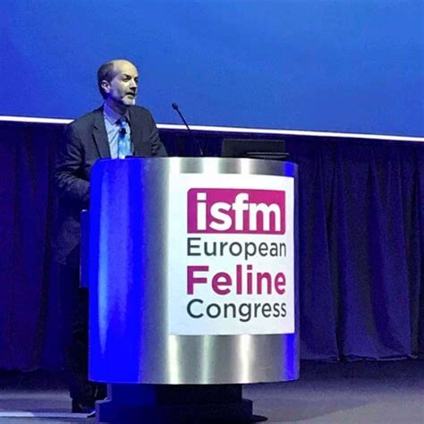 Home The Hyperthyroid Cat Centre