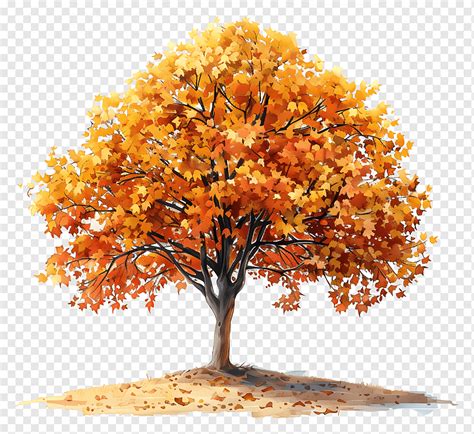 단풍나무 떨어지는 나뭇잎이 있는 가을 나무 Png Pngwing