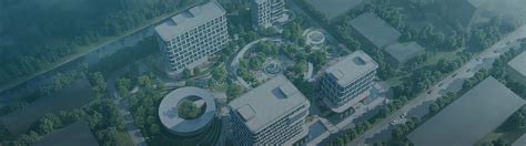 人cd8 T细胞 Atcellbio