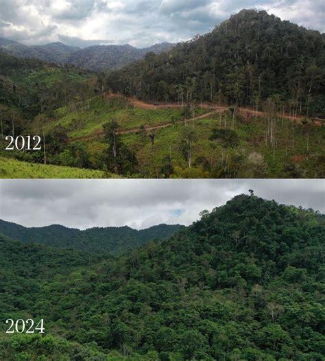 Mark Phillips On Linkedin Ecosystem Restoration Projects Like These