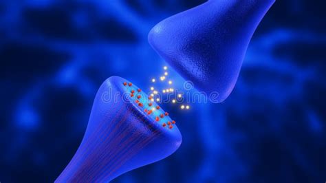 Neuronal And Synapse Activity Animation Stock Illustration Illustration Of Neurology Sensory