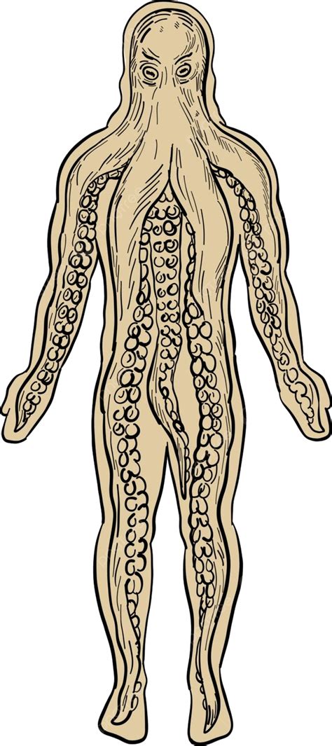 Pulpo Extraterrestre Dentro Cuerpo Humano Dibujo Molusco Anatomía Gráfico Vector Png Molusco