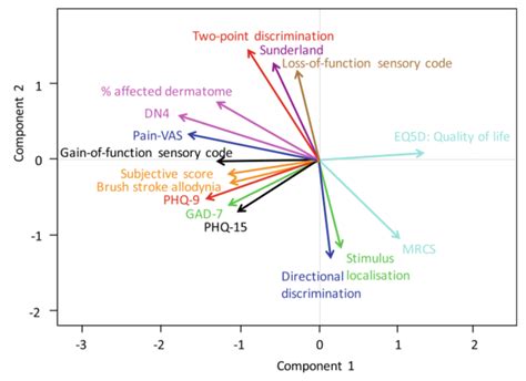 Biplot Of All Objective And Subjective Neurosensory Measurements An Download Scientific