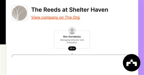 The Reeds At Shelter Haven The Org