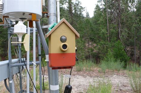 Sensing An Experimental Forest Processing Environments And