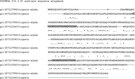 Sequence Alignment Of Trypsin Alpha And Trypsin Genes Detected In The Download Scientific