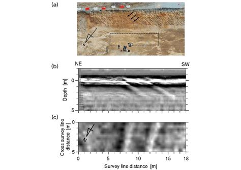 A A Drone Derived Photo Of The Survey Site Of The Multiple Line Download Scientific Diagram