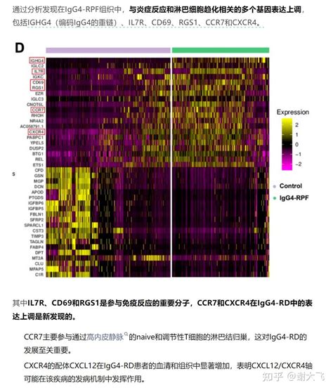 Gse231920差异基因热图 知乎