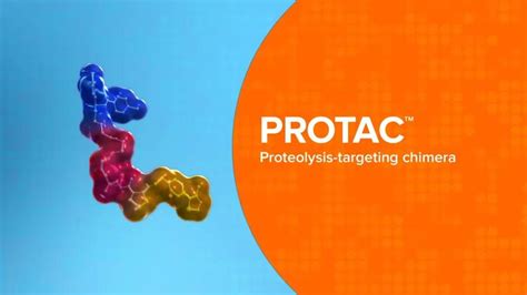 蛋白降解新突破：清华陈晔光团队等首次开发出靶向β Catenin的protac多肽，有效抑制结肠癌 知乎