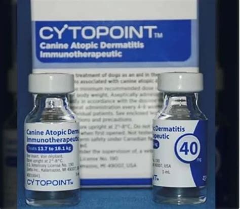 Cytopoint 40 Mg Injection At ₹ 3000 Piece Vet Injections In Hyderabad Id 2856297661733