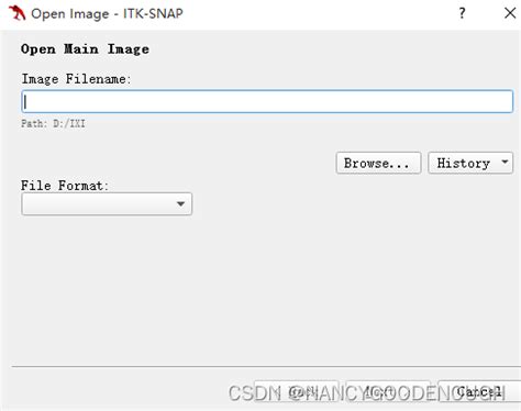 医学图像可视化软件ITK SNAP的使用方法 itksnap的文件保存 CSDN博客