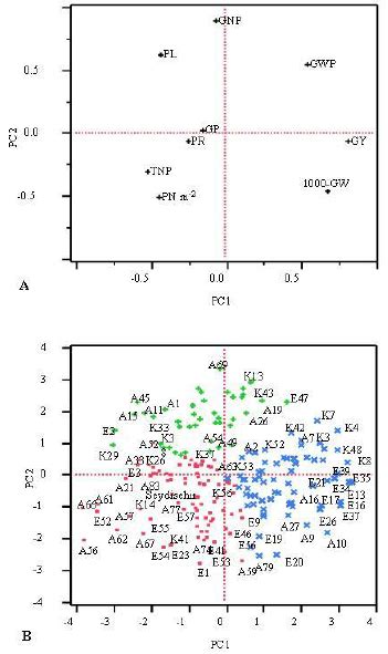 Biplot Of Principal Components 1 And 2 Of 199 Oat Genotypes Based On