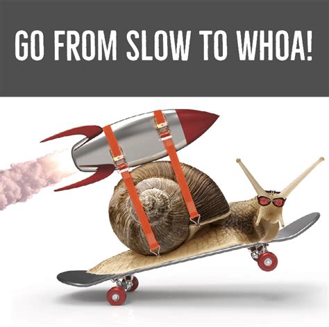 Sql Server Performance Training Steve Stedman