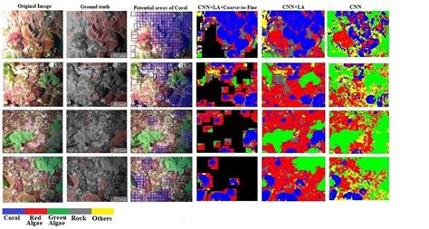 Coral Image Segmentation Result Download Scientific Diagram