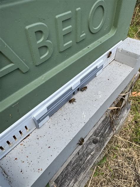 Abelo Bee Hive Entrance Reducer Free 3d Print Model Makerworld