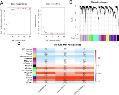Figure 1 From A Naive Bayes Model On Lung Adenocarcinoma Projection Based On Tumor