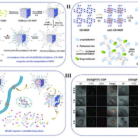 I Schematic Illustration Of The Synthetic Procedure For Download Scientific Diagram