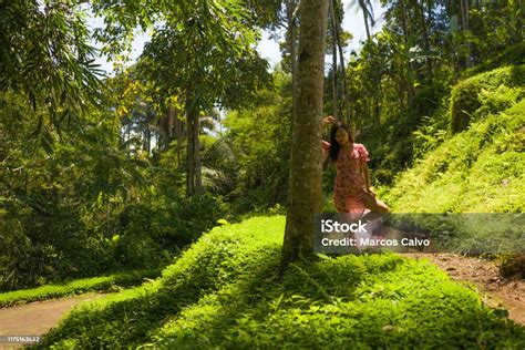 신선한 열대 우림에서 꿈꾸는 자연의 아름다움을 즐기는 우아한 여름 드레스를 입은 젊은 아름답고 편안한 아시아 여성의 야외 초상화 30 39세에 대한 스톡 사진 및 기타