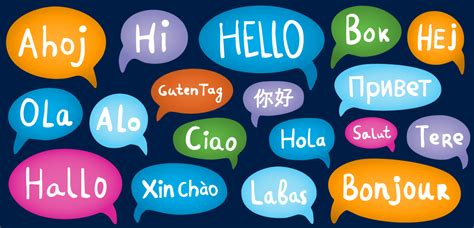 Interpreter Services For Our Undocumented Community San Francisco Health Plan