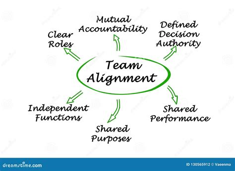 Team Alignment Stock Images 312 Photos