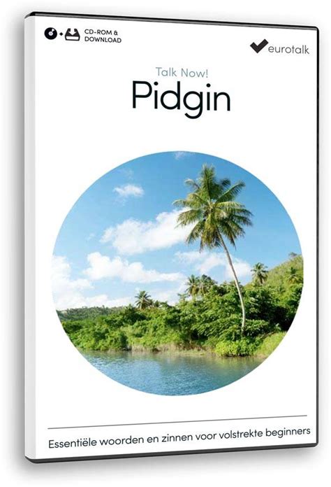 leer pidgin basis cursus pidgin voor beginners talendomein