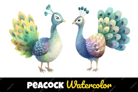 Premium Vector Cute Peacock Watercolour Vector Illustration