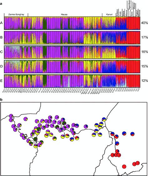 Genetic Structure Of Pearl Millet Populations Revealed By A Clustering