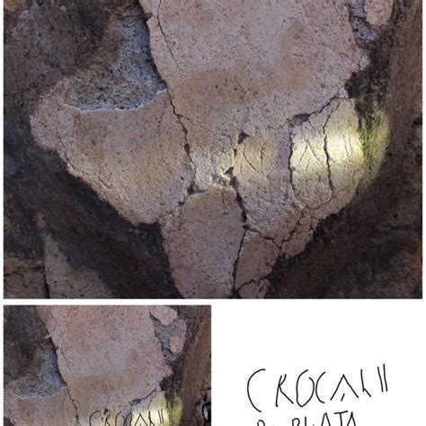 Map For Last Convolutional Layer Pool5 And The First Two Download Scientific Diagram