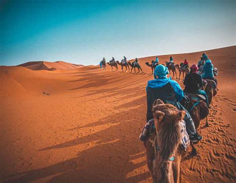 Sahara Desert Beauty