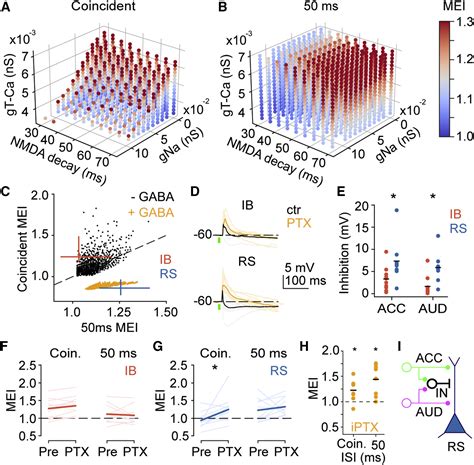 Cell Type Specific Integration Of Feedforward And Feedback Synaptic Inputs In The Posterior