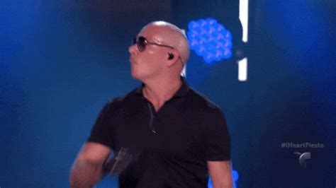 Pitbull S Get The Best  On Giphy