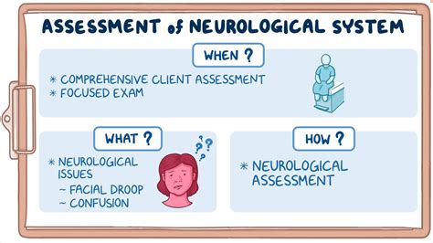 Video Physical Assessment Neurological System Nursing Osmosis