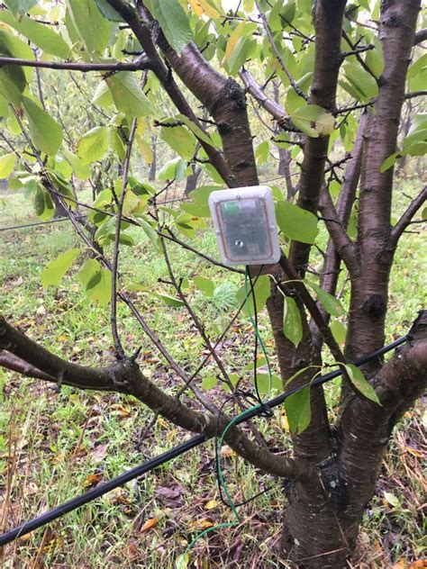 9 Must See Real World Iot Applications Examples