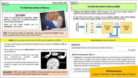 Memory The Multi Store Model Of Memory Aqa A Level Psychology