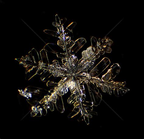 黑色背景的显微镜下的雪花火花薄片宏观白色水晶磨砂冻结天气高清图片下载 正版图片321507841 摄图网