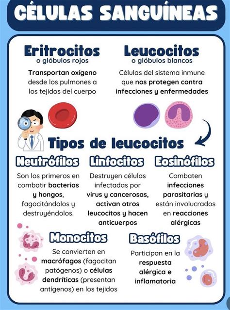 Pin De Blueberry En Hospital En 2025 Material De Enfermeria Cosas De
