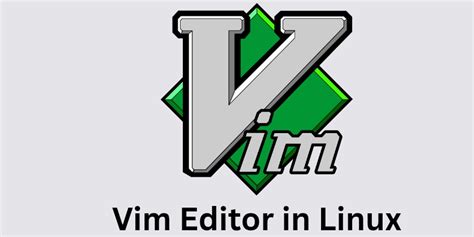 Vim Navigation Dev Community