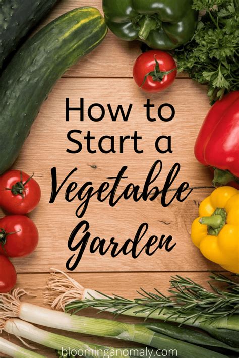 How To Start A Vegetable Garden Blooming Anomaly
