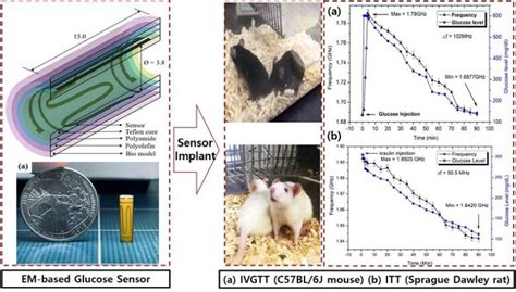 Minimally Invasive Implant Type Electromagnetic Biosensor For Continuous Glucose Monitoring