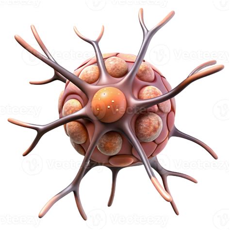 Wonderful Classic Neuron Cell Structure Detailed Illustration