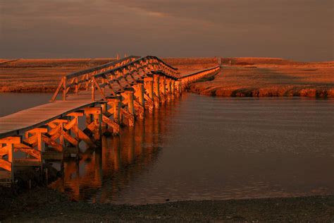 Boardwalk In Sandwich Ma Cape Cod Vacation Cape Cod Beaches Travel Joy