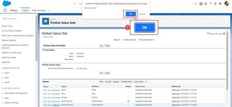 Deactivate And Remove The Global Picklist Value In Salesforce