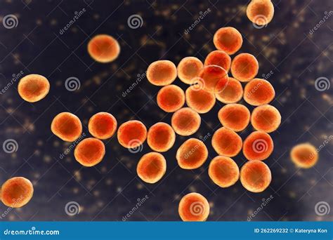Bacteria Methicillin Resistant Staphylococcus Aureus Mrsa Stock Illustration Illustration Of