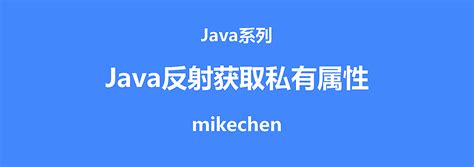 Java反射获取私有属性手把手教你4步获取 Mikechen