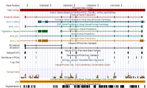 Gene Prediction The Comparative Genomics Approach